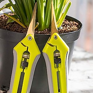 The Relaxed Gardener Gardening Scissors Set - Curved and Straight Titanium Coated Blade Micro Tip Pruning Shears - Super Sharp Trimmers for Plants with Anti-Rust Coating