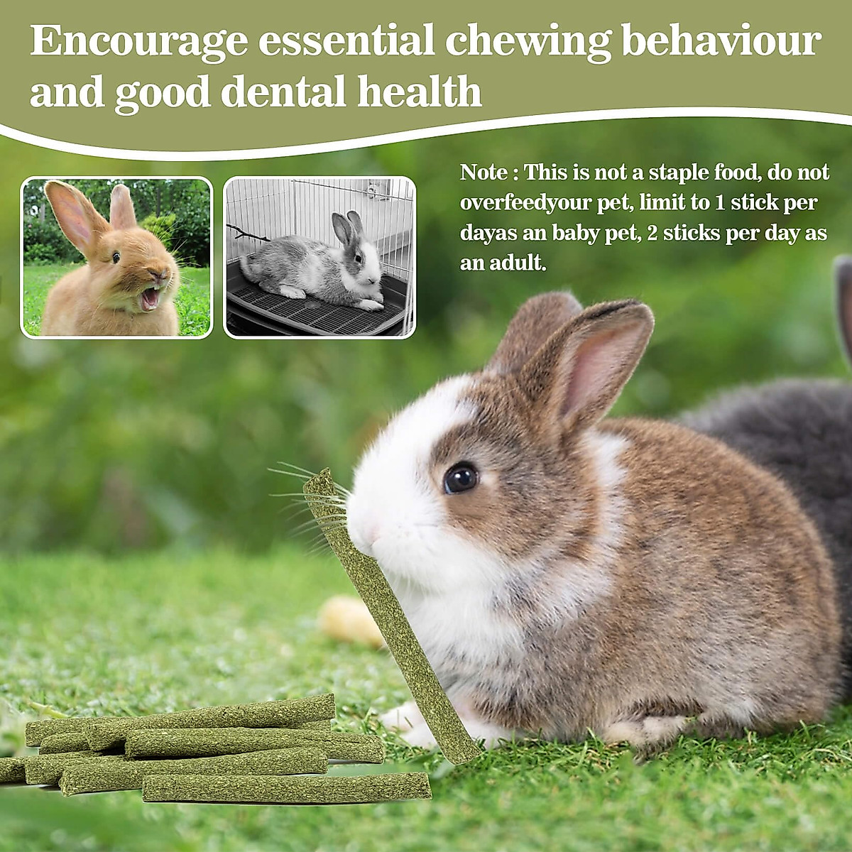 Sukh 300g Timothy Hay Chews Sticks - Natural Timothy Hay Sticks Rabbit Chew Sticks Rabbit Chew Toy Rabbit Toy Bunny Molar Treats Atural Teeth Grinding Toys for Squirrel Guinea Pigs Chinchilla