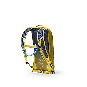 Gregory Mountain Products Women's Pace 6 H2O, Mineral Yellow, One Size