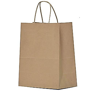 Qutuus 10x5x13 Kraft Paper Bags 100 Pcs Kraft Shopping Bags, Paper Gift Bags, Retail Bags, Recycled Bulk Paper Bags, Brown Paper Bags with Handles Bulk