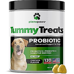 Probiotics for Dogs Digestive Health - Dog Probiotics and Digestive Enzymes - Allergy Relief for Dogs - Probiotic for Dogs Gut Health - Puppy Probiotic Tummy Treats - 120 Dog Probiotic Chews