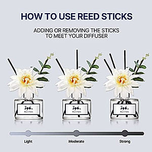 396 st. Dahlia Flower Reed Diffuser, Vanilla Lavender(Also Known as Garden Lavender), 200ml(6.7oz) / Reed Diffuser Sets, Scentsy Home Fragrance, Scented Oils, Home & Bathroom Décor