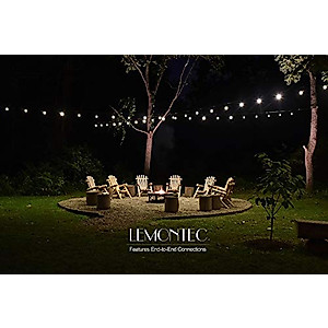 Lemontec Commercial Grade Outdoor String Lights with 15 Hanging Sockets - 48 Ft Black Weatherproof Cord Weatherproof Strand for Patio Garden Porch Backyard Party Deck Yard – S14 Black