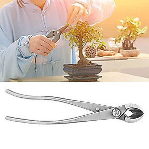 Socobeta Concave Root Cutter, Abrasion Resistant Bonsai Cutters Stainless Steel High Hardness Professional 21cm/8.27in Effective Rustproof for Gardening Tool