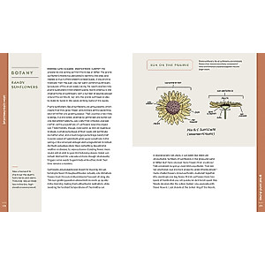 Scenic Science of the National Parks: An Explorer's Guide to Wildlife, Geology, and Botany