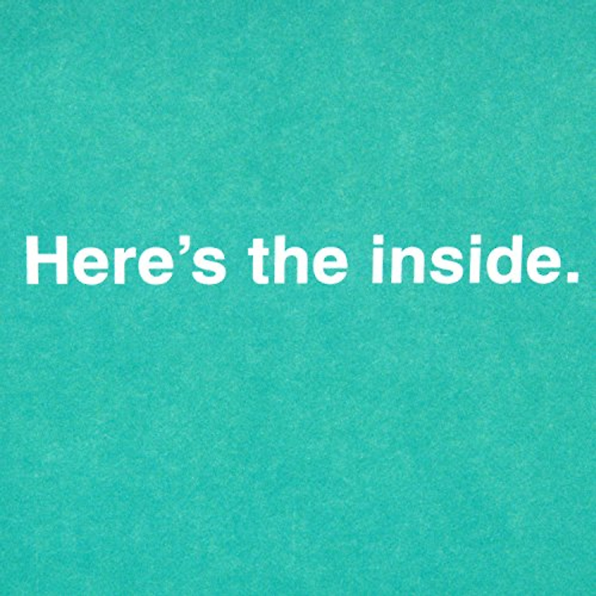 Hallmark 349RZF1006 Shoebox Funny Birthday Card