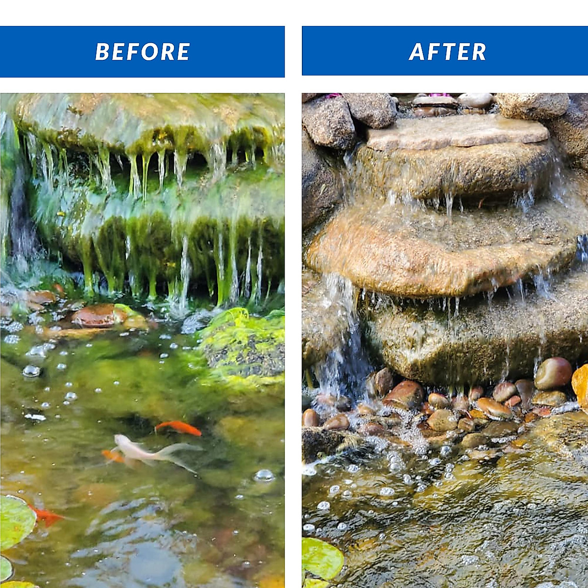 CrystalClear Algae D-Solv Pond Algae Control, Fast-Acting EPA Registered Algaecide, Use in Fountains & Outdoor Ponds Containing Koi & Other Fish, Treats 5,760 Gallons, 16 Ounces