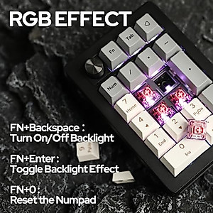 EPOMAKER EK21 VIA Gasket Number Pad, Bluetooth 5.0/2.4ghz/Wired Hot Swappable Numpad, with Poron Foam, Aluminum Alloy Knob, 1000mAh Battery, Programmable for Win/Mac/Gaming (Gateron Pro Yellow)