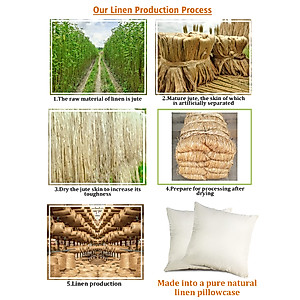 No Humans Allowed on The Couch Dog, Dog Lovers Gift Decorative, Throw Pillow Cover, Funny Dog Owner Gifts, Christmas Birthday Gift, Square Pillowcase Decoration for Sofa Bedroom-8L109