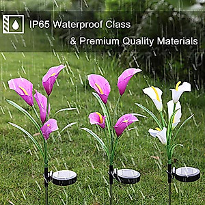 Aloudy Solar Garden Stake Lights, Upgraded 3 Pack Outdoor Waterproof Solar Powered Lights with 12 Calla Lily Flowers, 7 Colors Changing LED Solar Lights for Garden, Patio, Backyard(Purple and White)