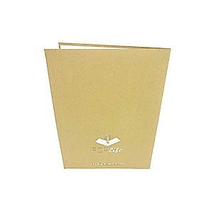 PopLife Cats Playing on Couch Pop Up Greeting Card 3D Pop Up Greeting Card - Cat Lover Card, Teacher Card, Funny Kids Card - Folds Flat for Mailing - Mothers Day Card, Birthday Card, Get Well Card