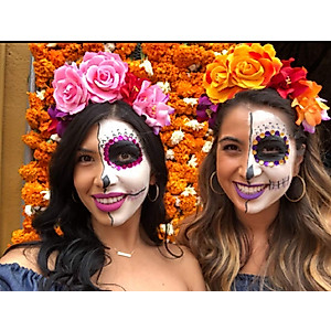 DreamLily Day of The Dead Headband Costume Rose Flower Crown Mexican Headpiece BC40 (Mexican Festival Crown Pink)