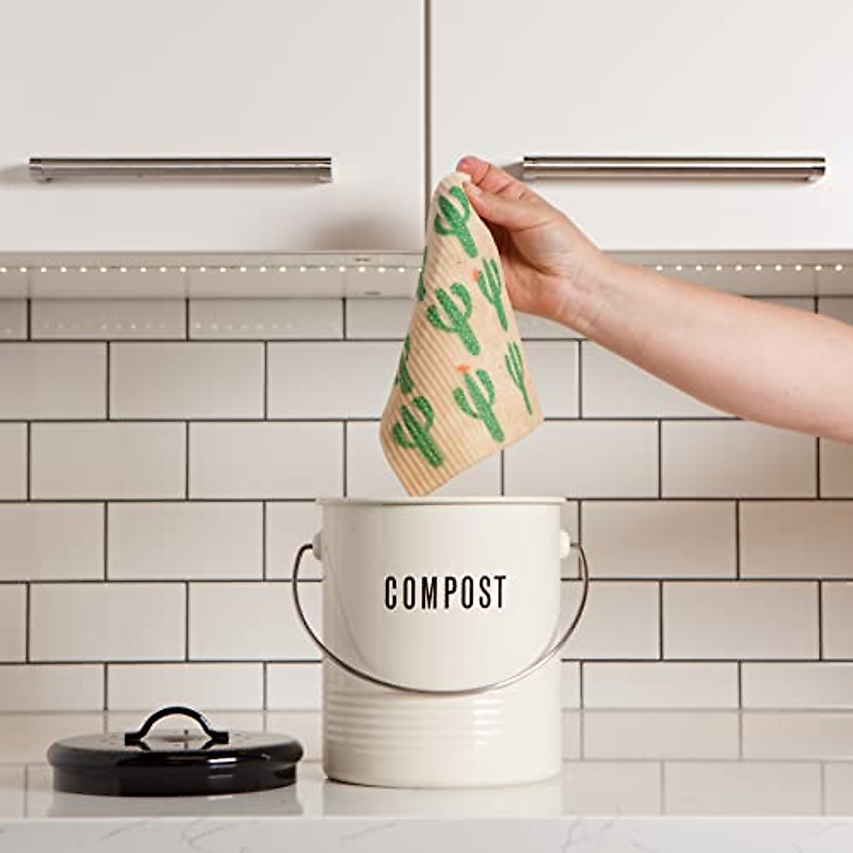 Ecoloie Swedish Sponge Reusable Dishcloth Cacti 6.5 x 8 inches, Set of 2