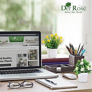 Der Rose 2 Pack Fake Plants Mini Artificial Faux Plants with Flowers for Home Office Table Room Farmhouse Decor Indoor