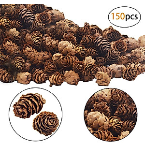 Deloky 150 PCS Christmas Natural Mini Pine Cones- 2CM Thanksgiving Small Pinecones Ornaments Vase Fillers for DIY Crafts, Home Decorations,Fall and Christmas,Wedding Decor