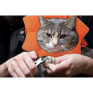 Purrrfect Life Adjustable Pet Cone Collar Soft for Kittens and Puppys, Cute Recovery Pet E-Collar After Surgery, Wound Healing Protective Cone, Elizabethan Collars (Flower, S)