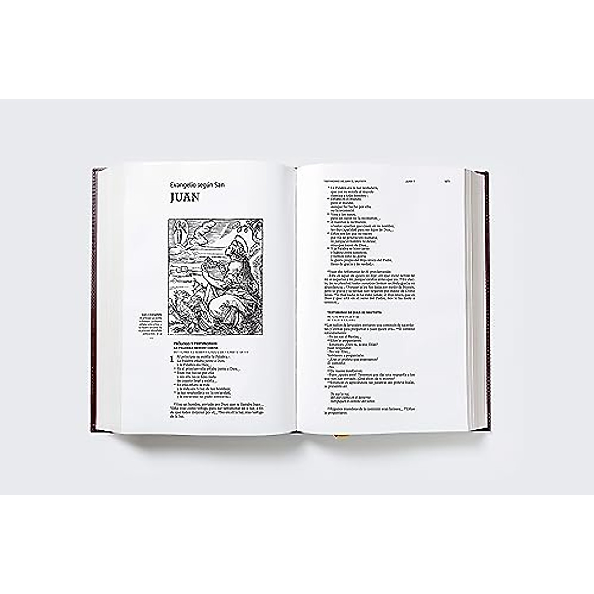 Biblia Católica, Ilustrada, Piel genuina, Café, Comfort Print (Spanish Edition)