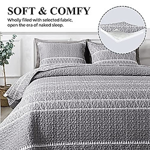 Andency Grey Quilt Set California King (112x104 Inch), 3 Pieces(1 Striped Triangle Printed Quilt and 2 Pillowcases), Bohemian Summer Lightweight Reversible Microfiber Bedspread Coverlet Sets