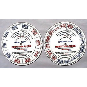 5 Dentition (Tooth Eruption) Guides/Practitioner and Dental Student Exam Study