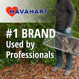 Havahart 1079SR Large 1-Door Humane Catch and Release Live Animal Trap for Raccoons, Cats, Bobcats, Beavers, Small Dogs, Groundhogs, Opossums, Foxes, Armadillos, and Similar-Sized Animals