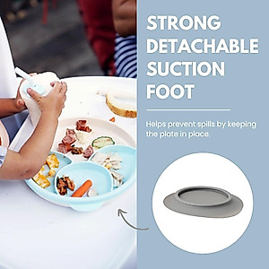 Miniware Healthy Meal Set with Sandwich Plate, Divider, and Detachable Suction Foot for Baby Toddler Kids - Promotes Self Feeding | Dishwasher Safe (Key Lime, Key Lime)