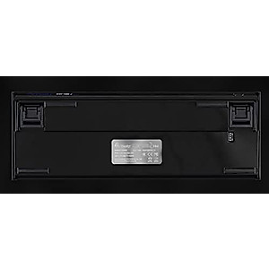 Ducky Blackout One 2 Mini RGB LED 60% Double Shot PBT Keyboard (Cherry MX Silent Red)