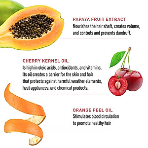 Just Nutritive Shampoo, 16 fl. oz, Color Protect For Color Treated Hair, Sulfate, Paraben, Silicone, Cruelty-Free, Handmade in USA