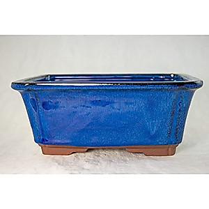 1 Pcs 8.25" Rectangular Dark Blue Bonsai / Succulent Pot + Tray + Rock + Mesh Combo