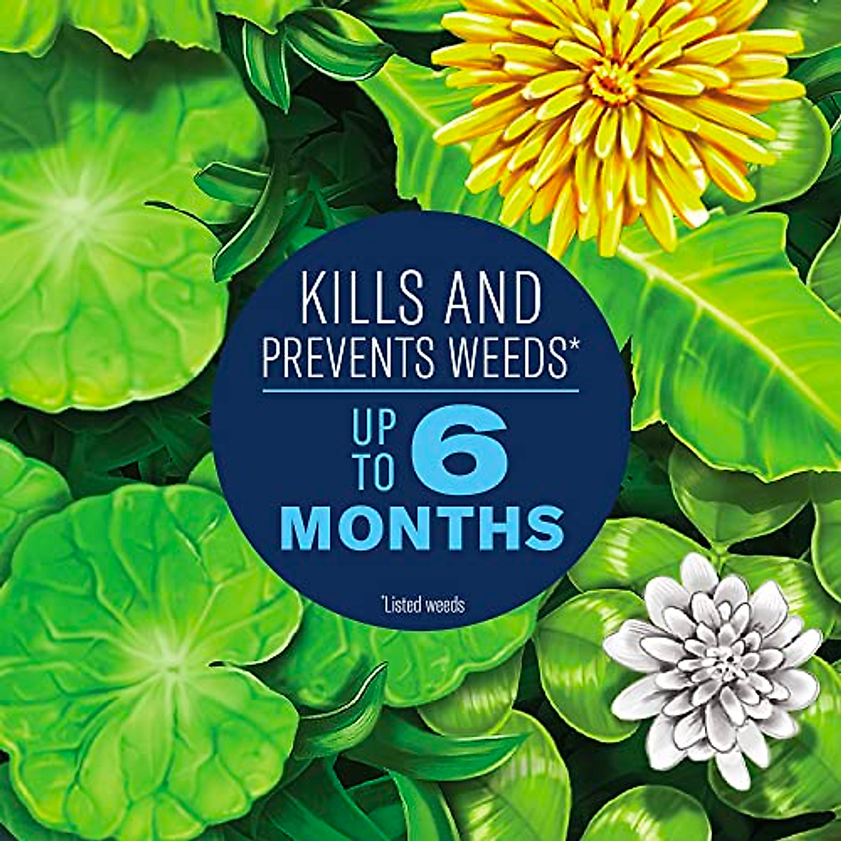 BioAdvanced Season Long Lawn Weed Killer + Preventer for Southern Lawns 10 LB Granules, 4,000 SQ FT