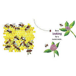 Spring Sings for the Grouchy Ladybug (The World of Eric Carle)