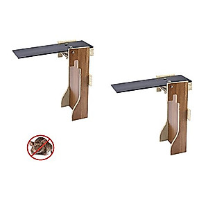Jeremywell Walk The Plank Mouse Trap - Plank Mouse Trap Auto Reset - Humane Bucket Rat Trap - No Drilling Required - Kill or Live Catch Mice & Other Pests & Rodents (2 PCs)