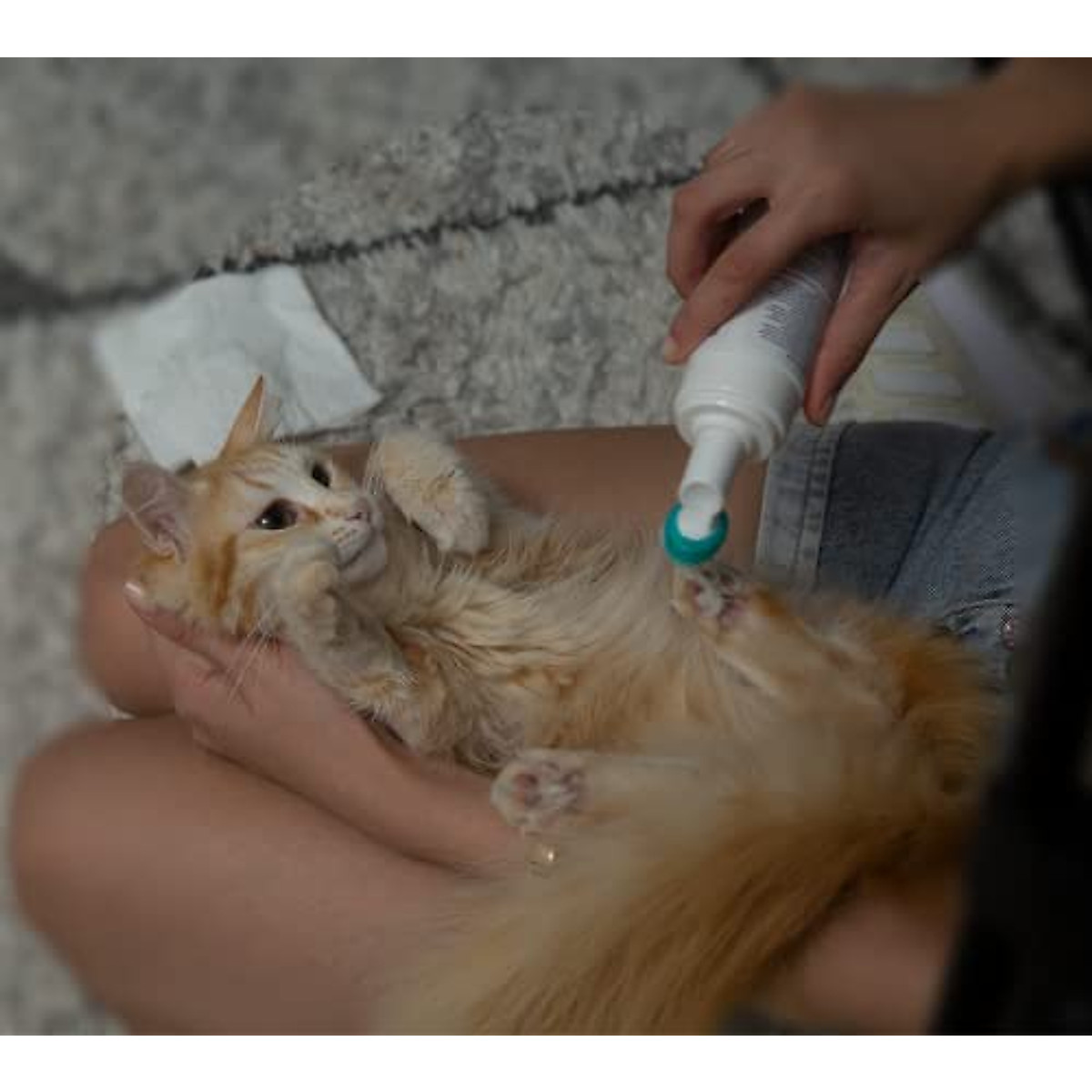 HiPet Paw Cleaner Foam, Paw Cleaner for Dogs and Cats, Cat and Dog Paw Moisturizer, Effortless and Easy-to-Use Bottle Design Dog Feet Cleaner, 150 mL / 5.07 Fl Oz