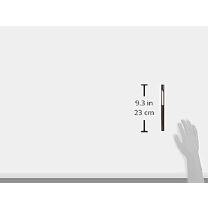 Pentel Arts Stylo Sketch Pen, Black, Box of 12 (JM20-AE)