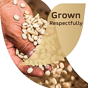 Nescafe Taster's Choice Instant Coffee, French Roast 5 Count (Pack of 12)