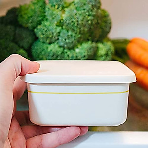 Uba Portion Control Containers (PORCELAIN) for Diet Meal Prep and Storage (1 Pack)