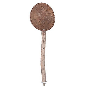 Parrot Nest Bird Feeder Bowl with Perches,2-in-1Natural Coconut Shell Food Container Playground Perch Play Stand Platform Toys for Parrot Conure Parrot Supplies