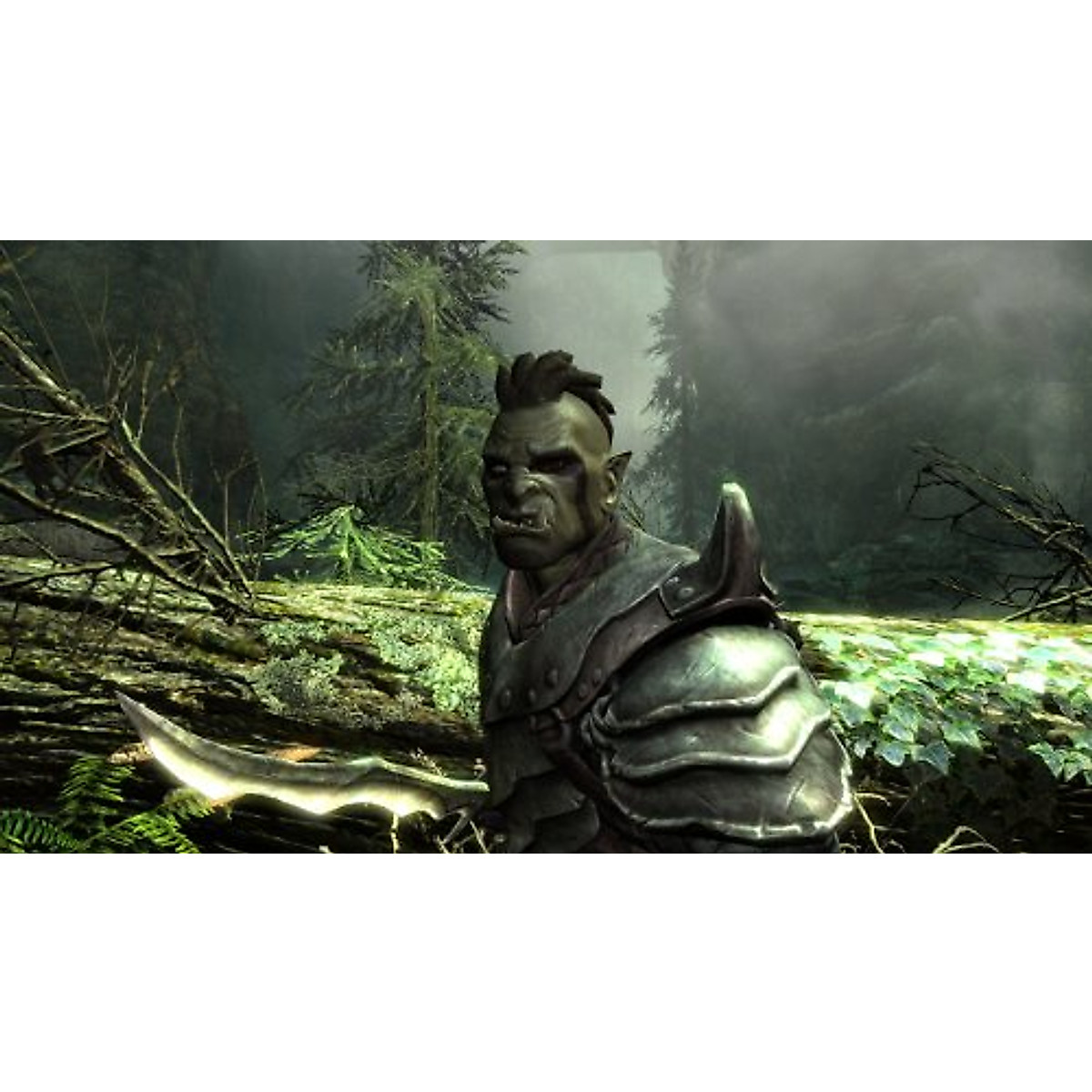 The Elder Scrolls V: Skyrim - PC
