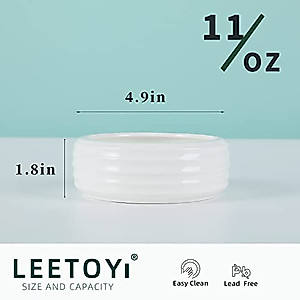 Reptile Food Bowls -Ceramic Round Reptile Water Food Dish, Pet Food Bowl for Lizards, Small Snakes, Young Bearded Dragons, Gecko Tortoise Spider (White, Large-1Pack)