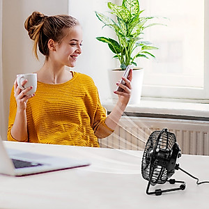 4 Inch Small USB Desk Fan, Mini Quiet Fan with Metal Construction & Strong Airflow & 360°Adjustable Tilt Angle, Personal Cooling Fan for Desktop Office (Black-2Pack)