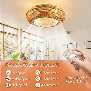 SaWaUto 20 Inch Cage Ceiling Fan, Farmhouse Low Profile Ceiling Fan with Remote Control, Mute Motor w/ Remote Control Flush Mount Ceiling Fan Lighting Fixture for Bedroom Living Room Kitchen