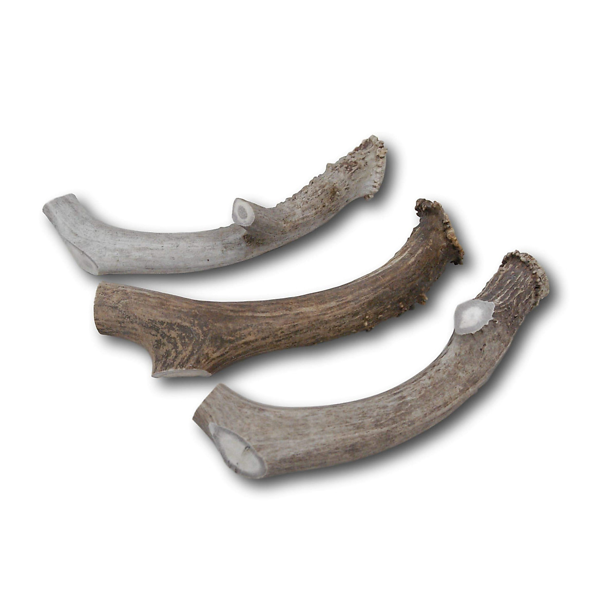 Top Dog Chews Premium Large Grade A Whitetail Deer Antler for Dogs - Single Antler