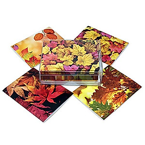 Fall Leaves Blank Note Cards - 12 Pack - Greeting Cards with Envelopes - 4 Unique Designs - 5.5"x4.25" (12 Pack)