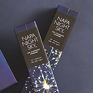 Napa Garden Collection-Napa Night Sky LED Starburst Lights (Large), White, 18 inches