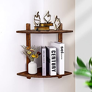 OUEEGER Floating Corner Shelf, Wood Corner Shelves Floating Wall Mounted, Small Book Corner Shelves for Living Room, Bedroom, Kitchen