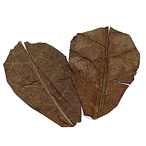 Box Lot of 30 Botanicals for Aquariums: Indian Almond Leaves, Cholla Wood, Birch Cones, Lotus Lafi Twistie Curve Pods, Pear Halves Pods, Coco Curls, Banana Sticks for Freshwater Blackwater Tannins