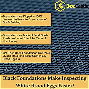 Heavy Wax Coated Unassembled Langstroth Deep/Brood Box with Frames and Beeswax Coated Foundation Sheet (10 Frame)