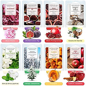 SCENTORINI Scented Wax Melts, Wax Cubes, Scented Soy Wax Melts, 8x2.5 oz, Pumpkin, Apple & Cinnamon, Winter Cedarwood, Mint & White Jasmine, Coconut & Vanilla, Black Pomegranate, Mediterranean Fig