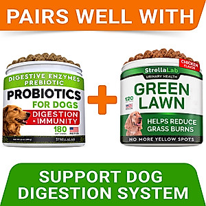 STRELLALAB Grass Burn Spot Chews for Dogs - Dog Urine Neutralizer for Lawn - Dog Pee Lawn Spot Saver - Natural Treatment Caused by Dog Urine - Grass Treatment Rocks -DL-Methionine+Enzymes - 120 Chew