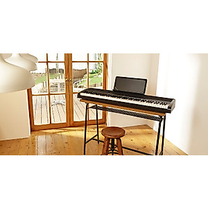 Korg 88-Key Lighter-Touch Digital Piano with Audio and MIDI USB, Free Software