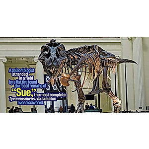 Weird But True! Dinosaurs: 300 Dino-Mite Facts to Sink Your Teeth Into